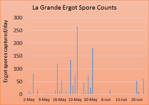 2019 Spore Trap UPDATE: July 1 « OSU-COAREC Plant Pathology