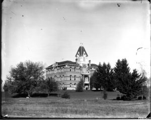 Trysting tree, circa 1910. | Special Collections and Archives Research Center