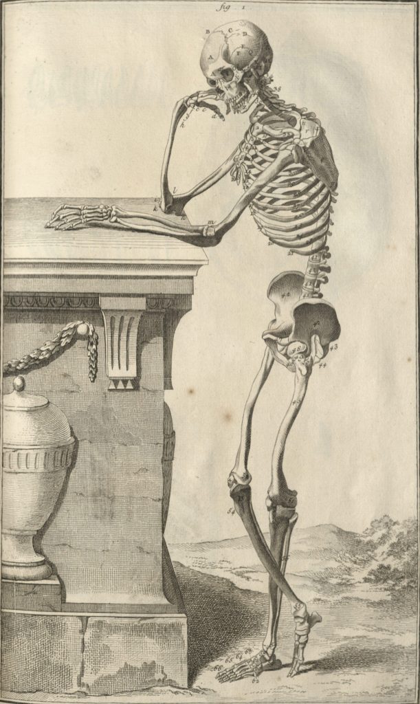Skeleton | Special Collections and Archives Research Center