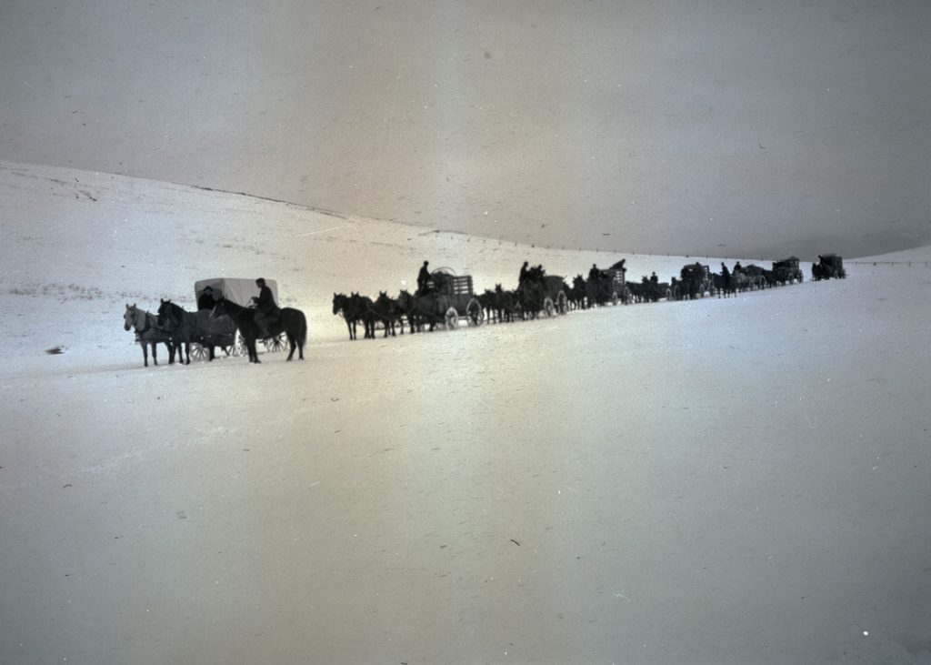 Line of Elk Crate Wagons in the Snow | Special Collections and Archives ...