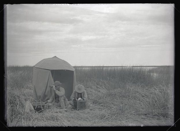 Reuniting Finley and Bohlman | Special Collections and Archives ...