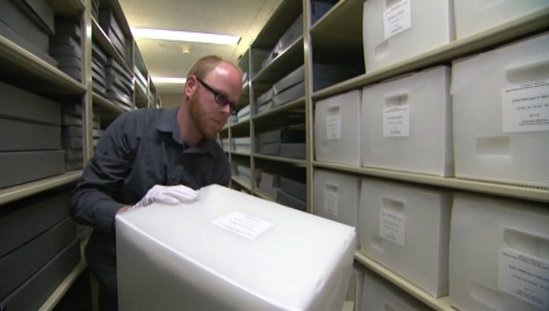 “The Archives/Digitization/Digital Preservation Thing” | Special ...
