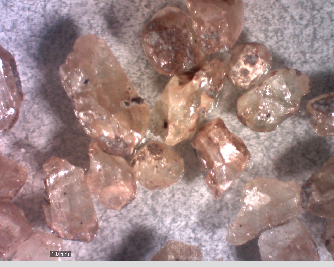 Lab Members | Noble Gas Geochemistry Laboratory At Oregon State University