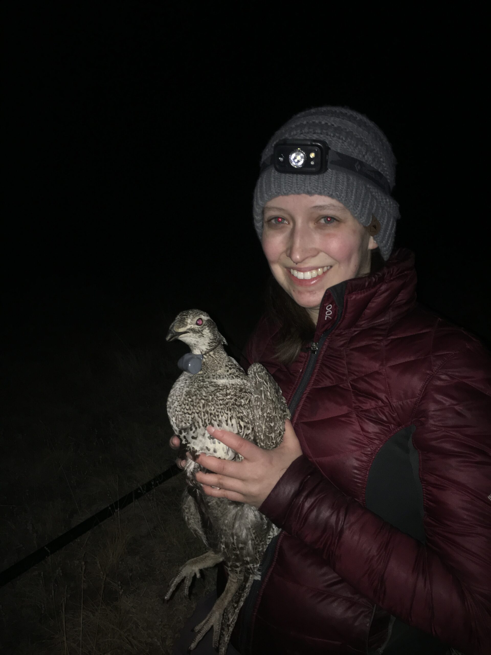 Meet the Team « OSU Sagebrush Habitat Team