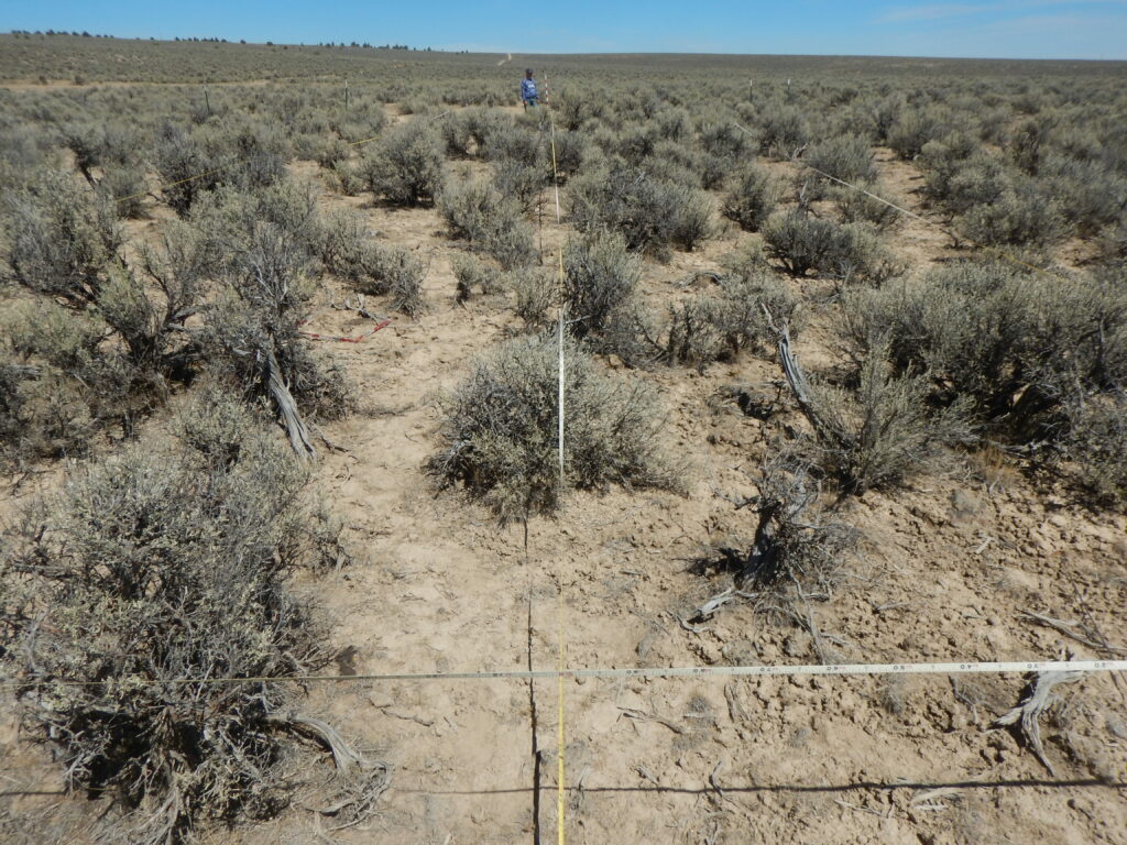 Sagebrush Ecosystem Management « OSU Sagebrush Habitat Team