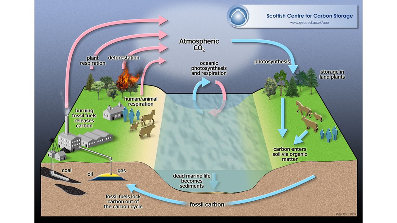 Land Photosynthesis is Increasing - Taming the TechnosphereTaming the ...