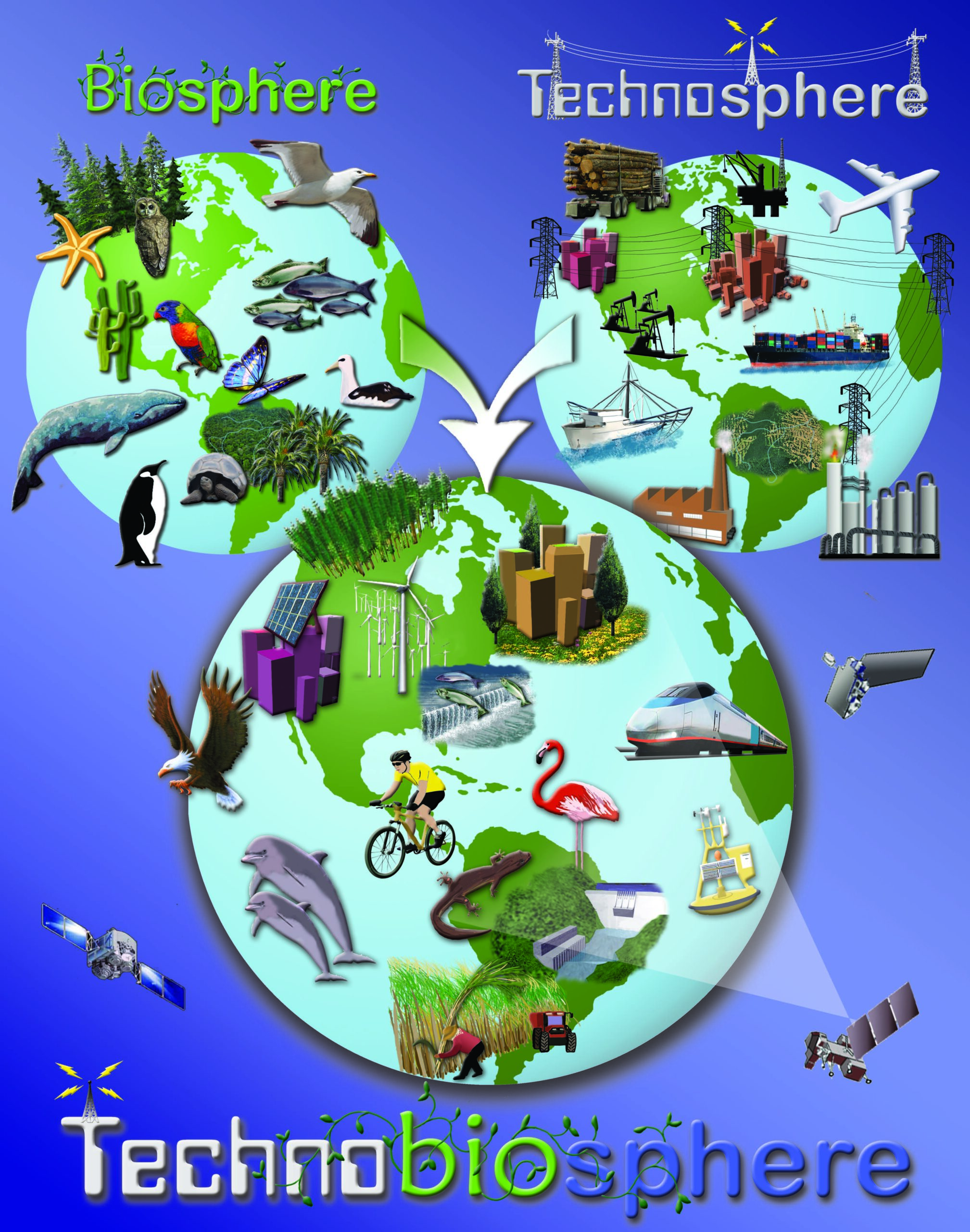 The Great Transition: A Foundational Concept for an Emerging Global ...