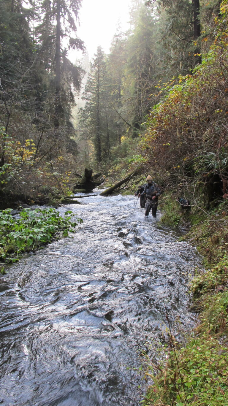 Explore Oregon | Colwell Geomicrobiology Lab at OSU