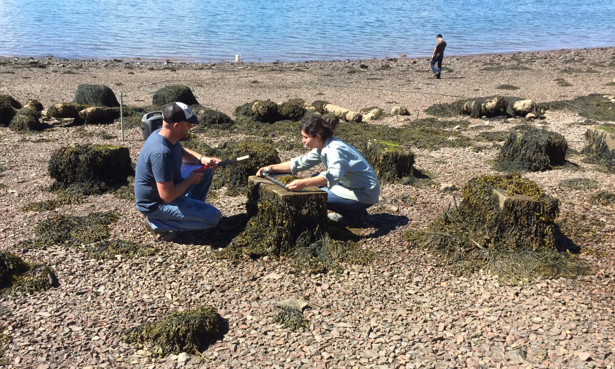 Congratulations to Lamiya Noor, 2021 ESCSI John Ries Scholarship ...