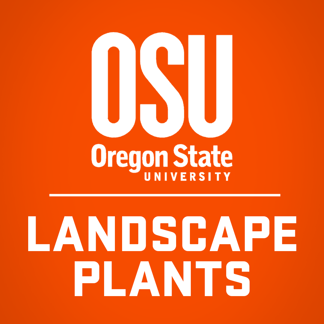 Episode 43: OSU Campus Arboretum | A podcast series hosted by OSU ...