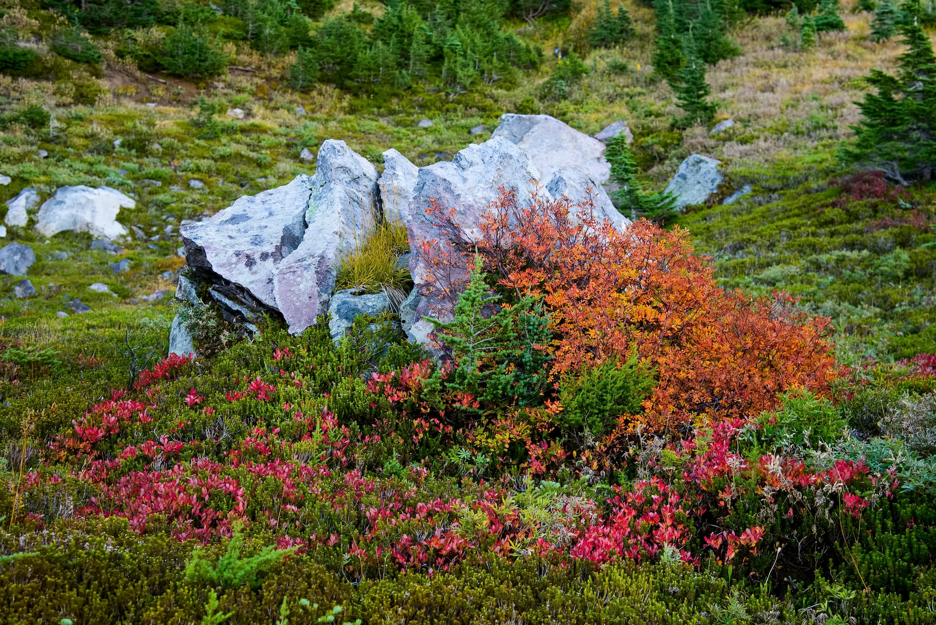 Recent Peer-Reviewed Publications – Oregon Climate Change Research ...