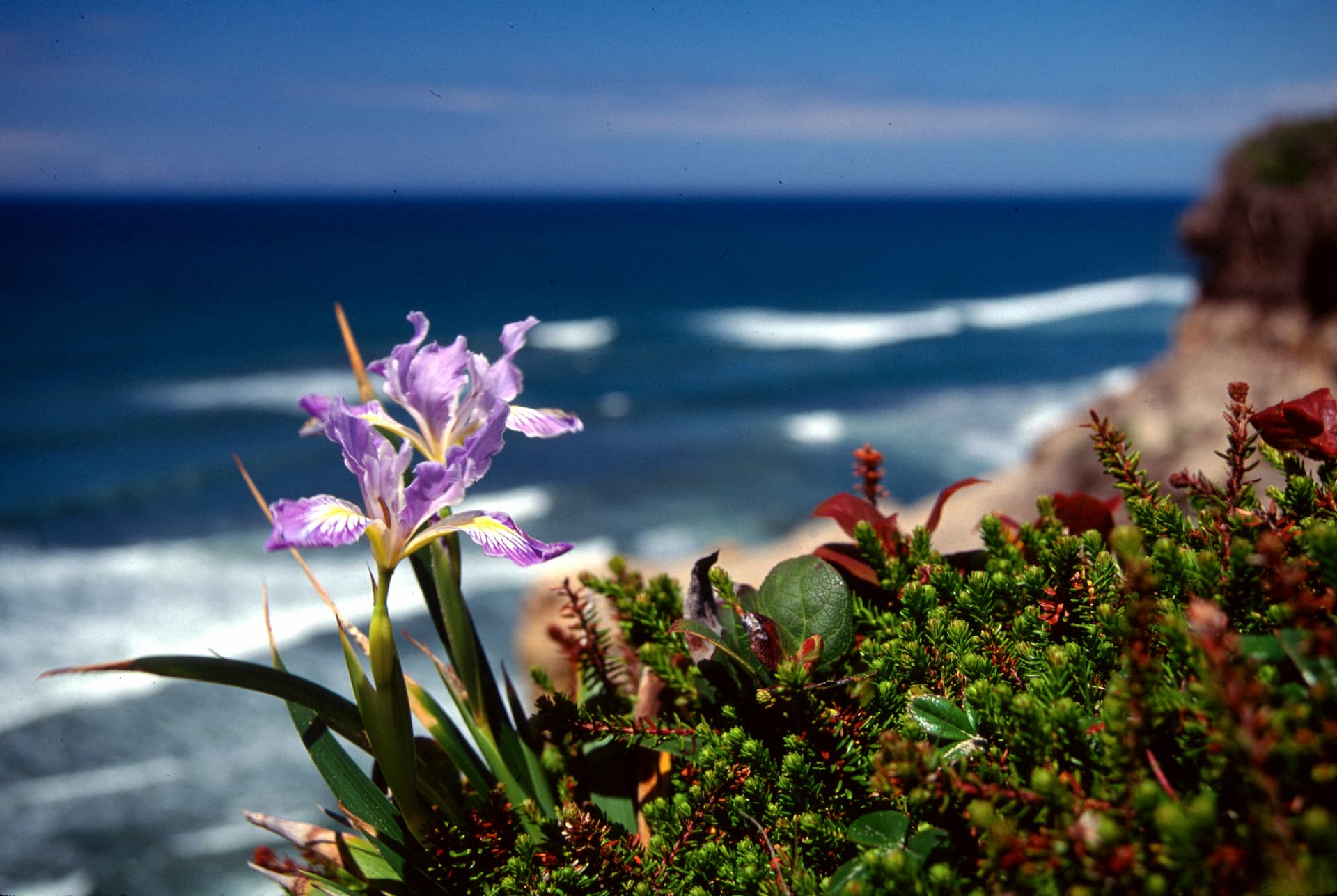 Oregon Climate Service – Oregon Climate Change Research Institute