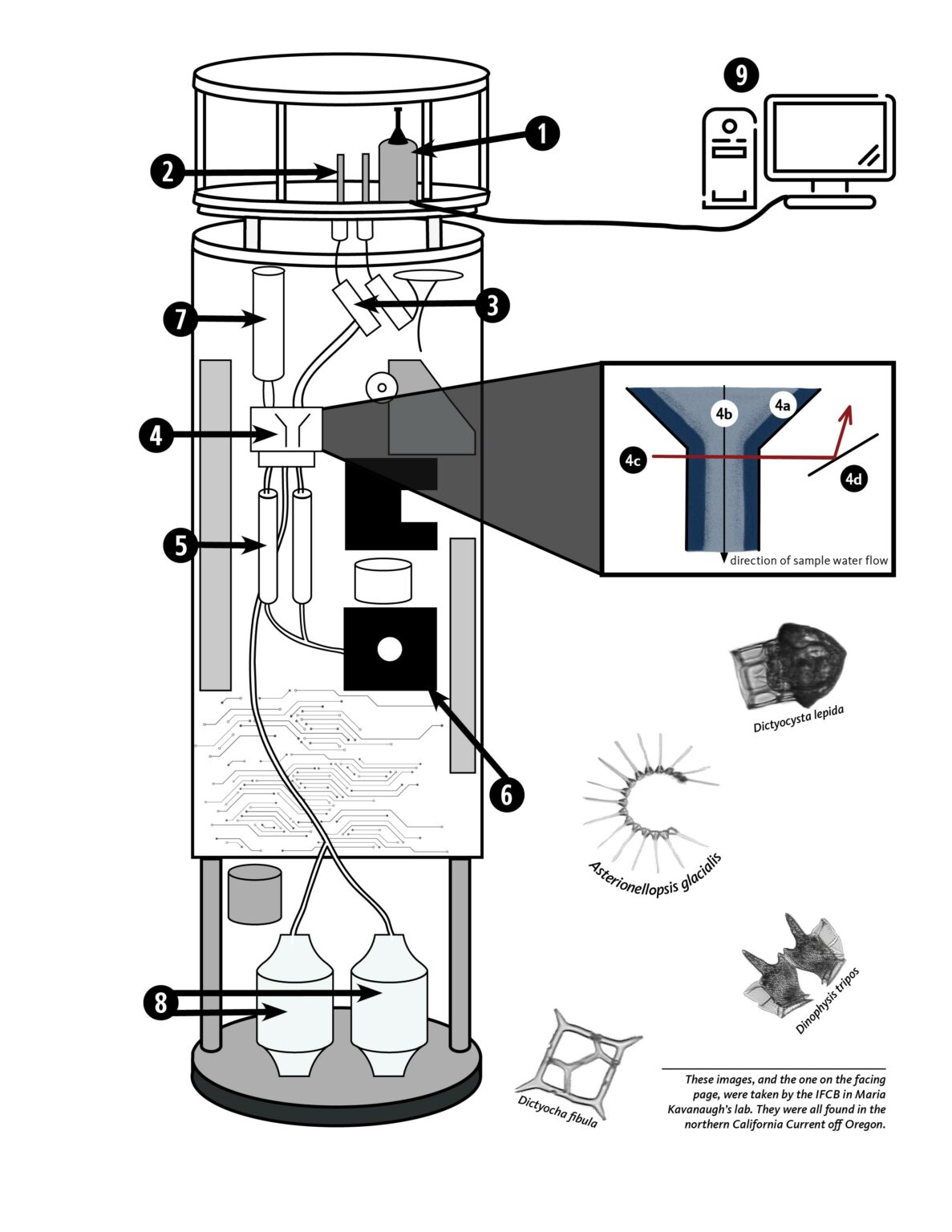 Imaging Flow Cytobot (IFCB) – Seascape Ecology Laboratory