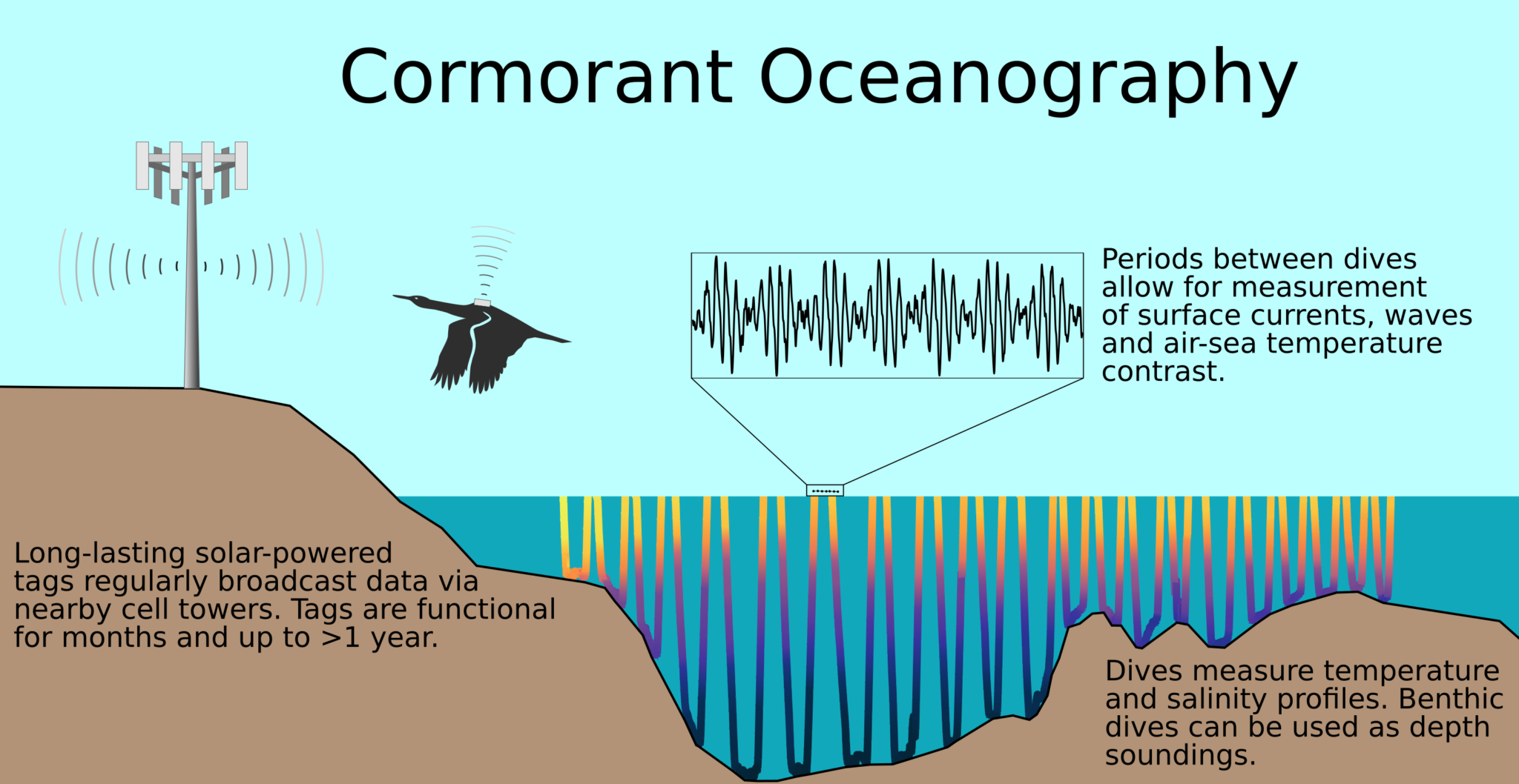 Modeling, Data Assimilation & Machine Learning – Wilson Nearshore ...