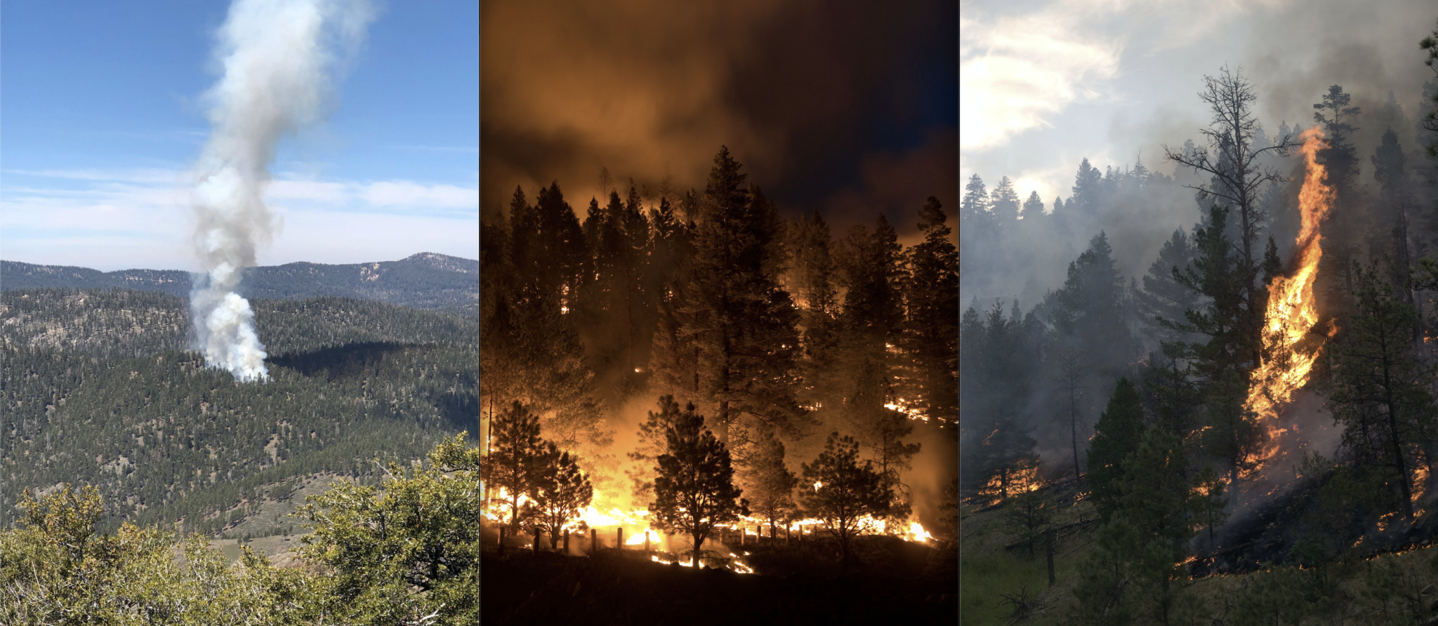 GIS in Wildfire Management – GIS Applications in Wildfire Management