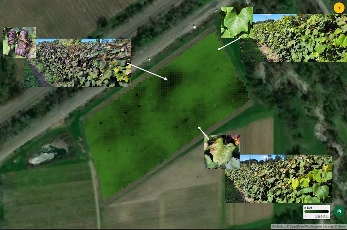 Precision Viticulture | High Resolution Vineyard Nutrient Management