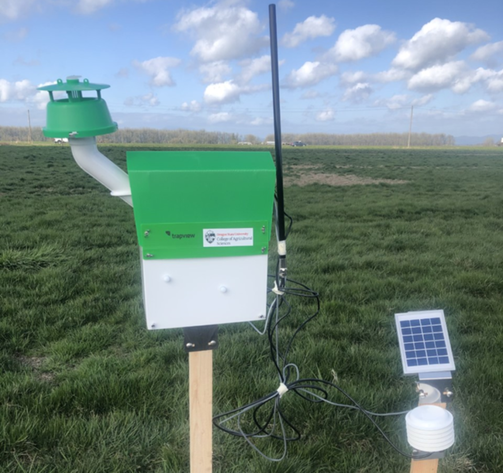 Testing automated traps for noctuid species in commercial grass fields ...