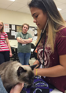 Vet Gazette - More Room For High School Students In Summer Veterinary ...