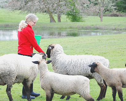 Vet Gazette - Hall Recognized For Years of ACVIM Service