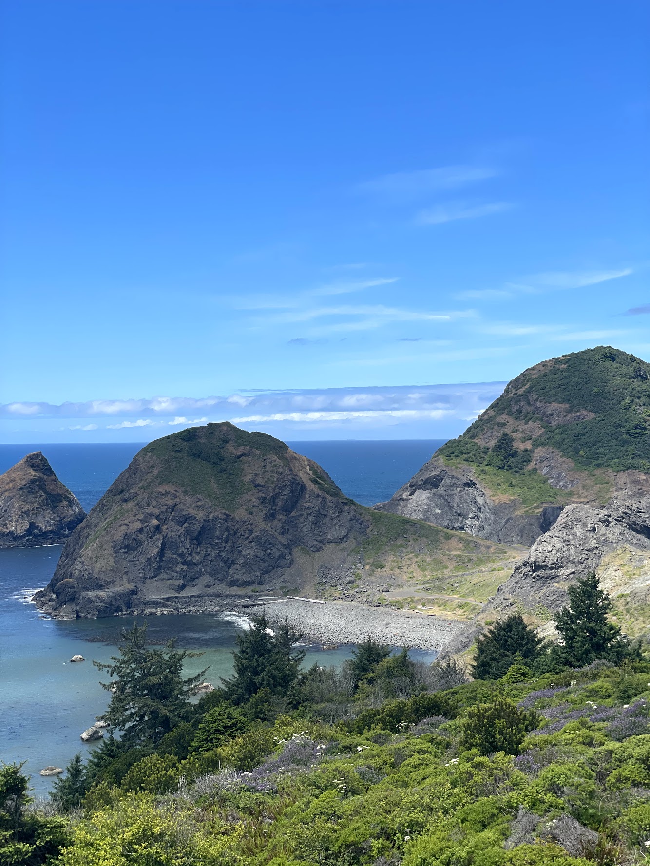 Gallery | Cascadia2021