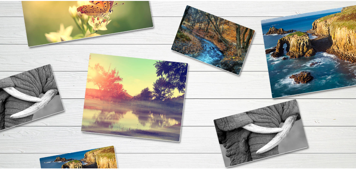 How to Get Started with Metal Prints for Artwork? – Dennis Piper