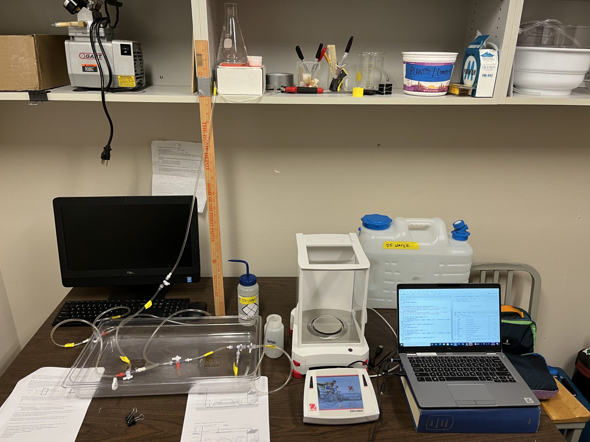 Sadie Keller - Nackley Lab