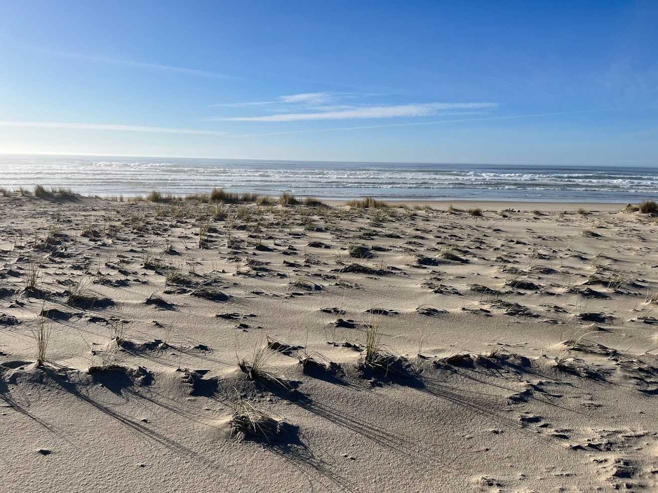Lab Group Photos « The Coastal Boundary Dynamics Research Group