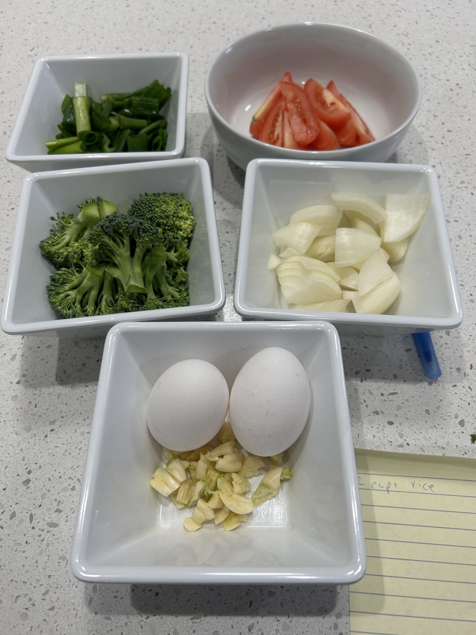 Tan’s Fried Rice – Healthy Beaver Bag Blog 2022-23