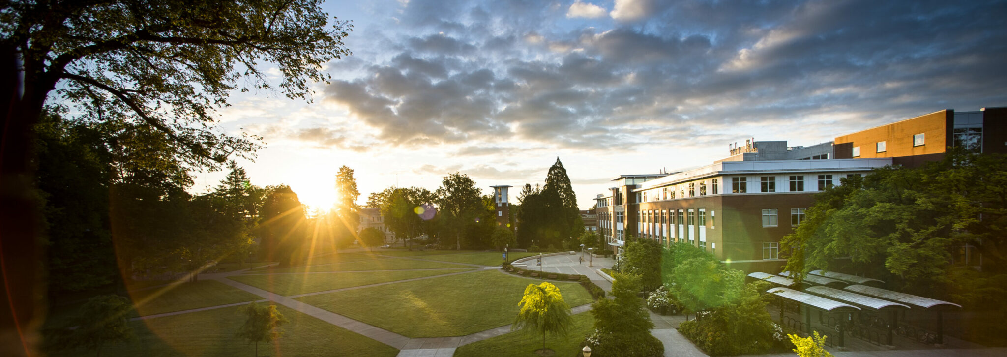 OSU IT Support Desks