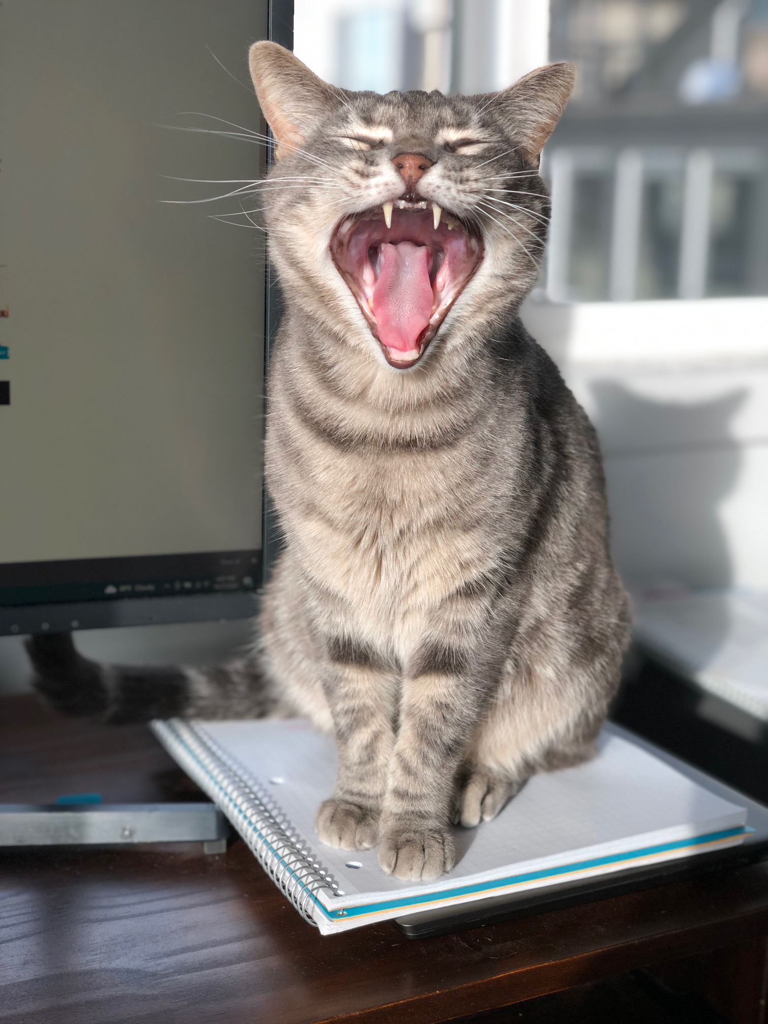 Post #4 – Reflecting on Favorite Classes – Ian Docherty’s Capstone Journey