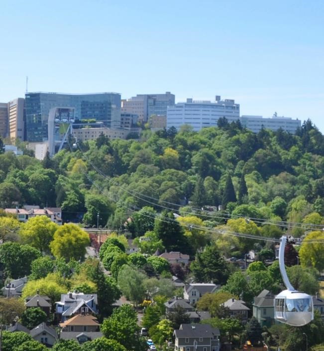 Healthcare meets the Environment | Sea Grant Scholars