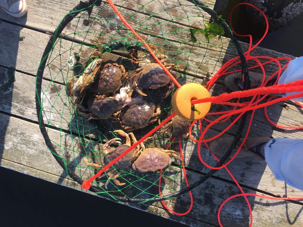 Gumboot | Sea Grant Scholars