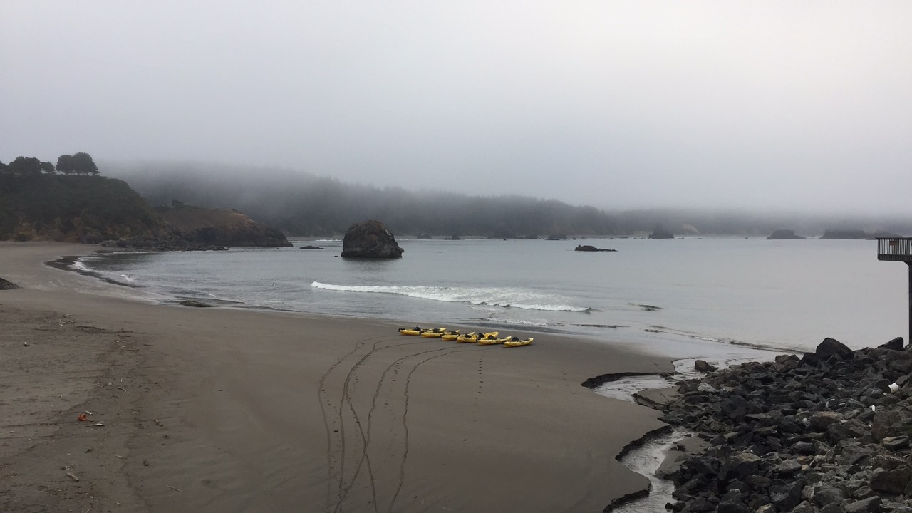 Gumboot | Sea Grant Scholars