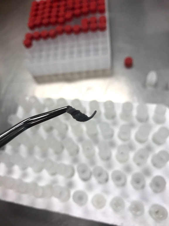 Genetics schmetics! What is the difference between all the different ...