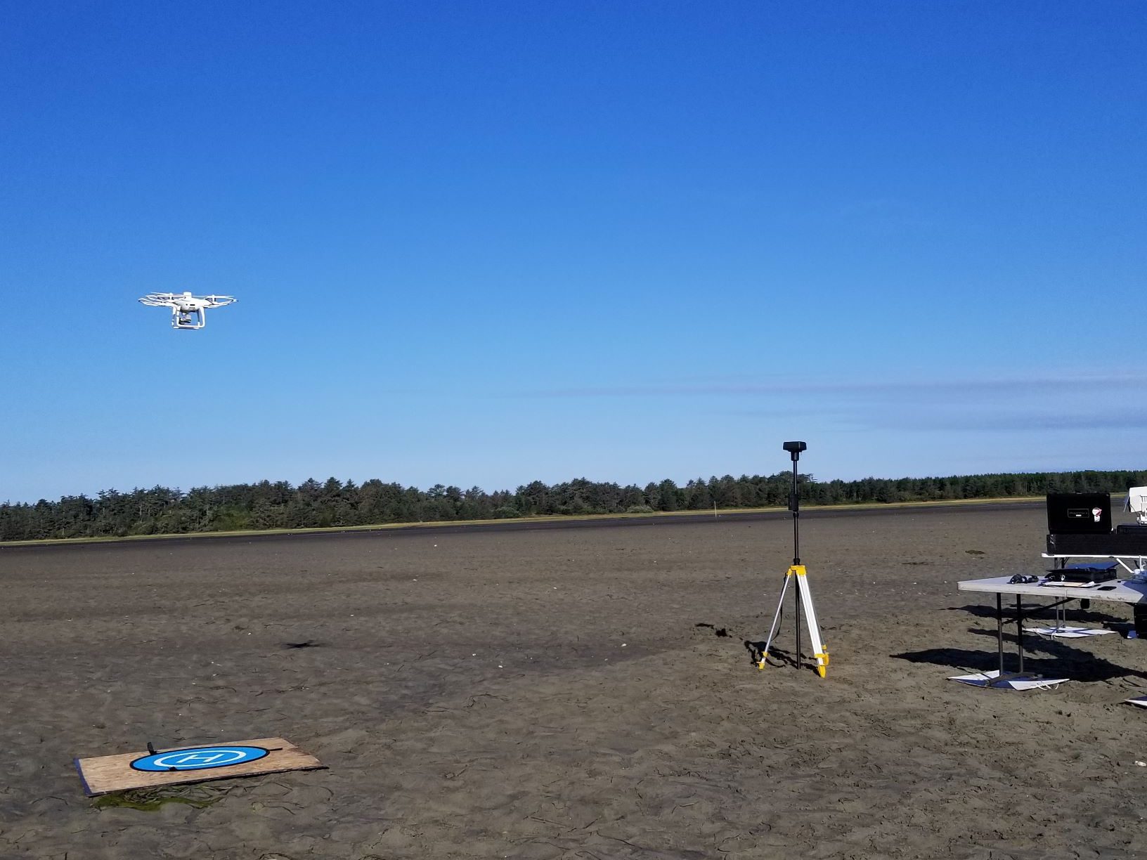 Drones, Beavers, and Sand Dollars | Sea Grant Scholars