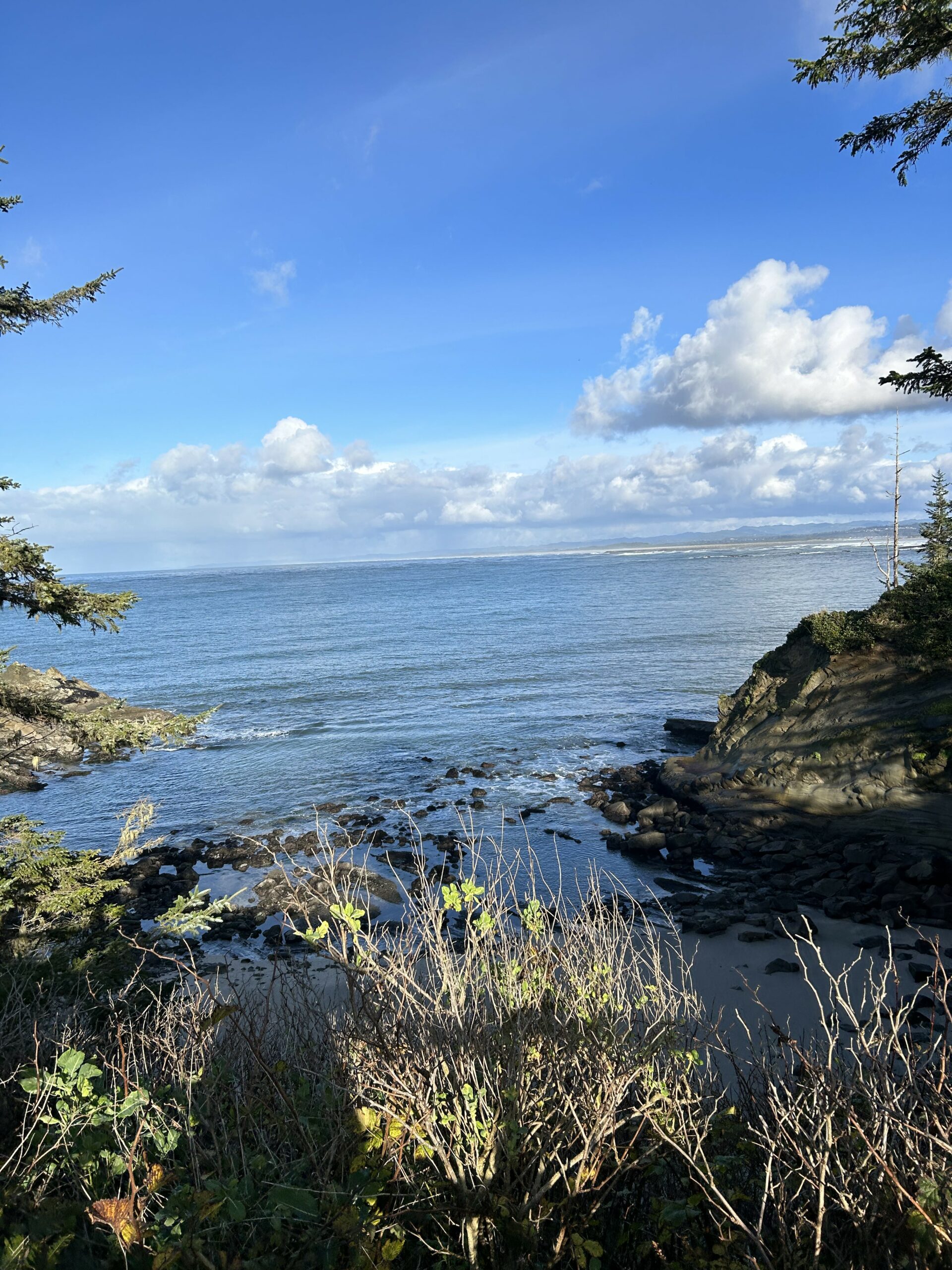 Introducing Kayla Stevenson, Natural Resource Policy Fellow with Oregon ...