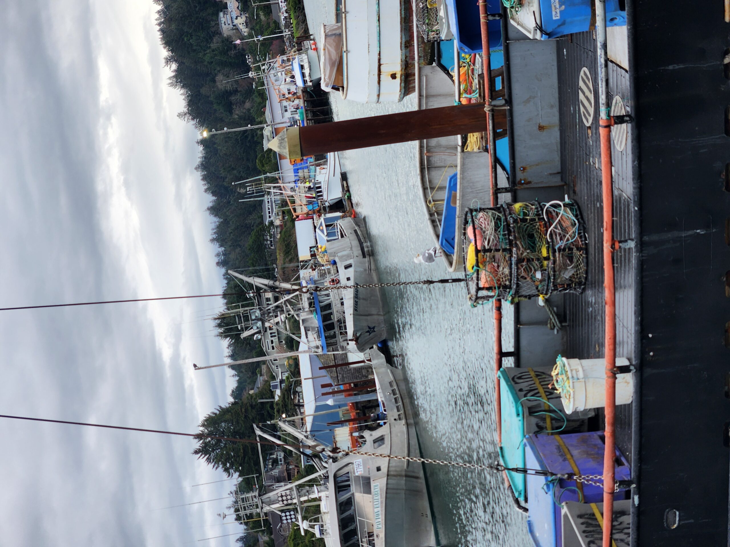 Introducing Natural Resource Policy Fellow Maddie Foley | Sea Grant ...