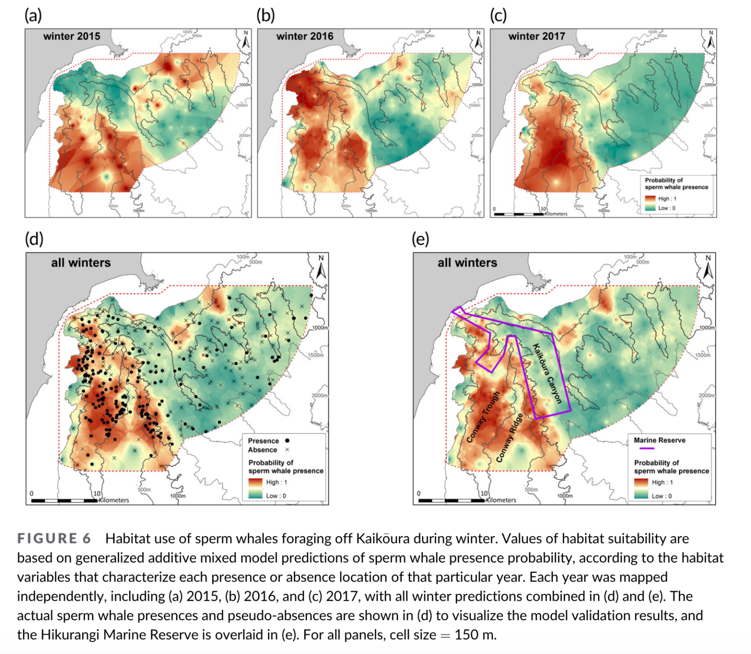 Fine-Scale Habitat Use of Foraging Sperm Whales Is Driven by Seafloor Topography and Water ...