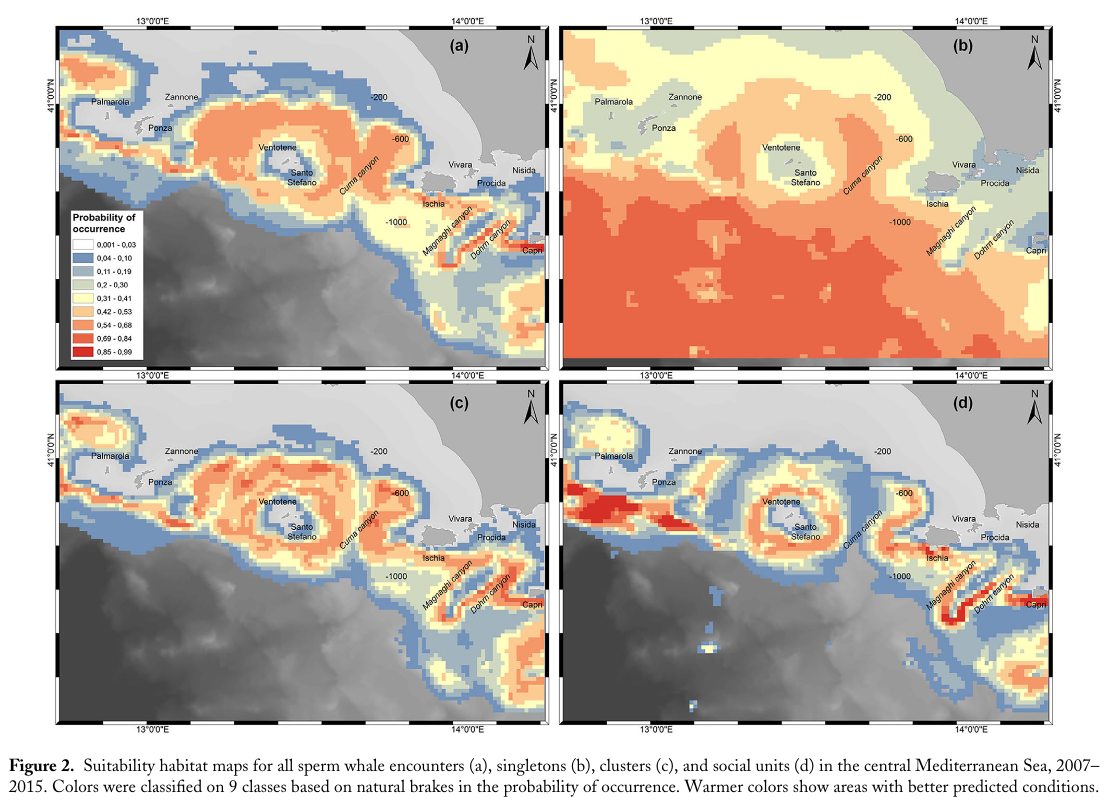 Habitat suitability modeling in different sperm whale social groups ...