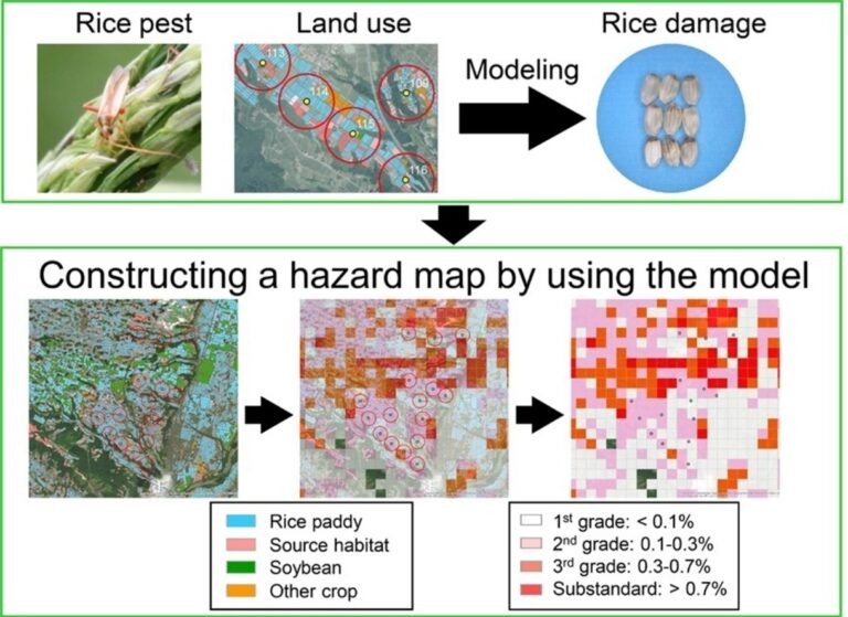 Monitoring and Management of agricultural insect pest with GIS ...