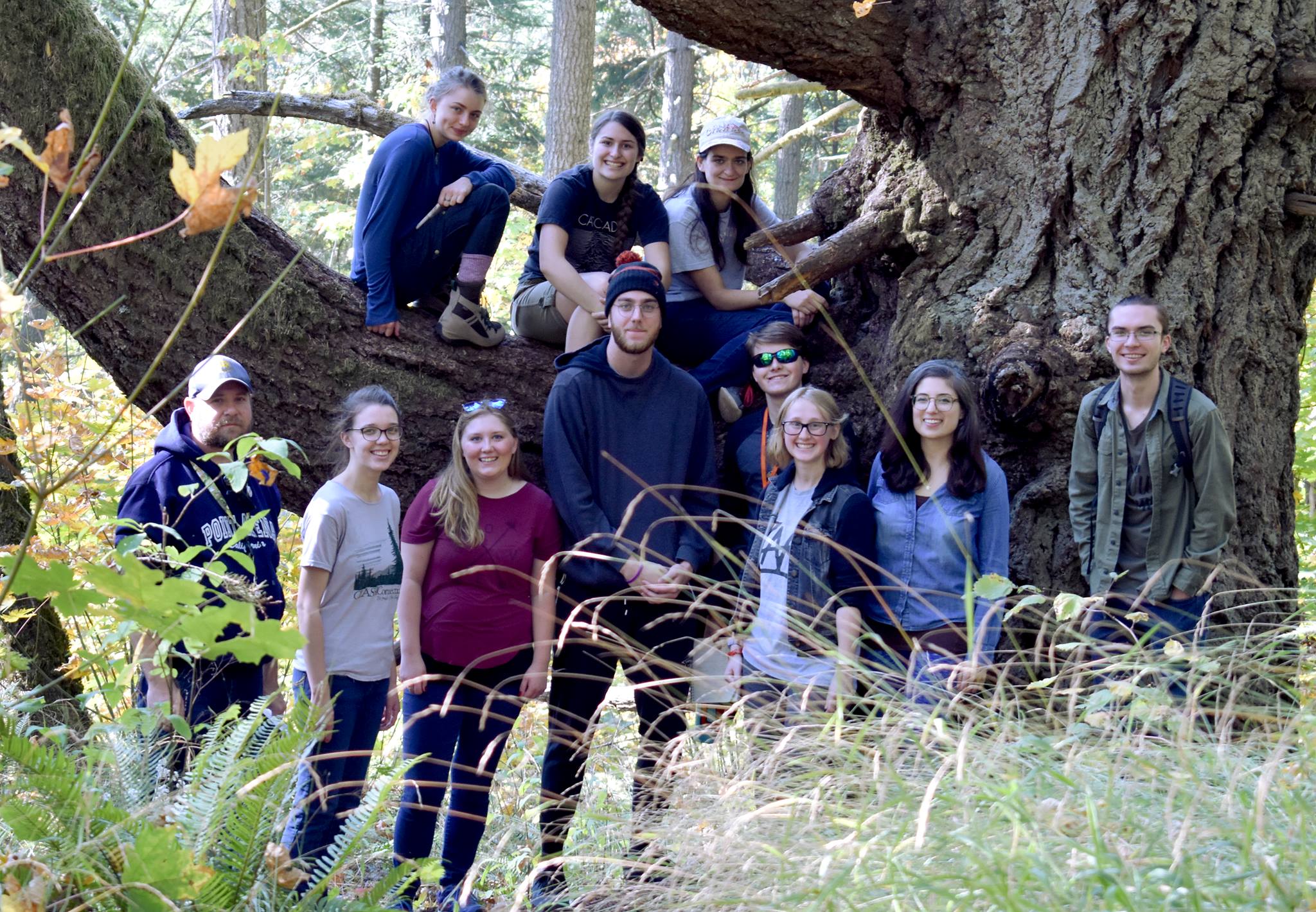 Season’s Greetings and Welcome to 2019! | New Fields