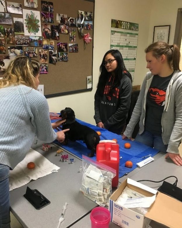 New Fields | A blog dedicated to the current events of the College of ...