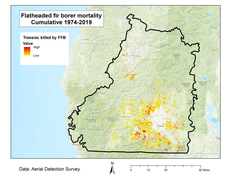 Trees on the Edge: Douglas-fir Decline & Mortality in SW Oregon ...