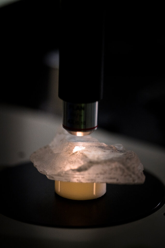 Research Areas – Mackiewicz Research Lab