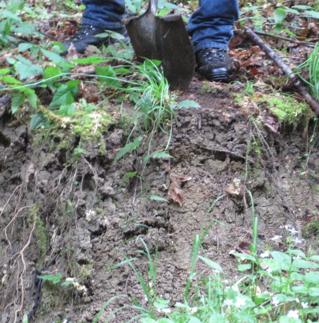 There’s an App for that #3: SoilWeb « TreeTopics