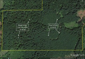 Mapping your forest with Google Earth and a GPS phone app « TreeTopics