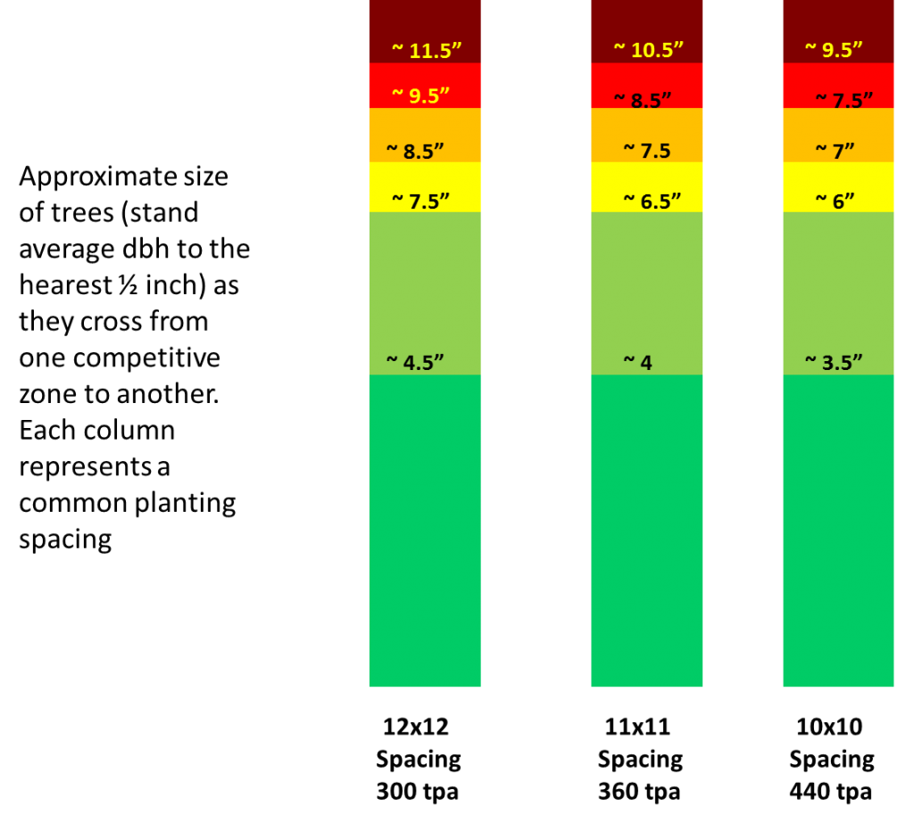 Spacing young conifer stands « TreeTopics