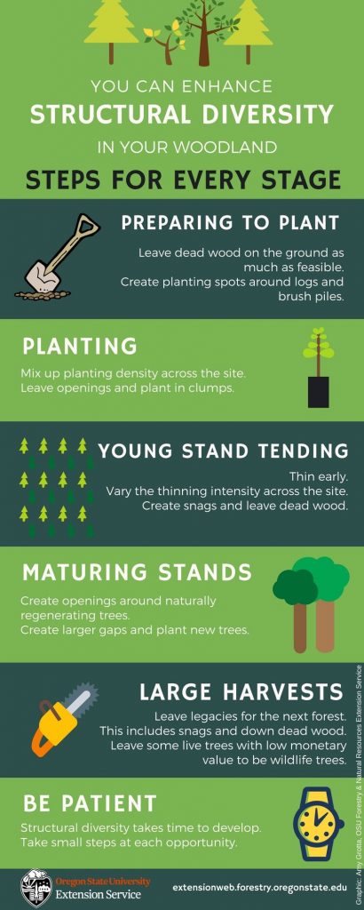 Growing a Diverse Forest: Steps to a Structural Diversity “Forest ...