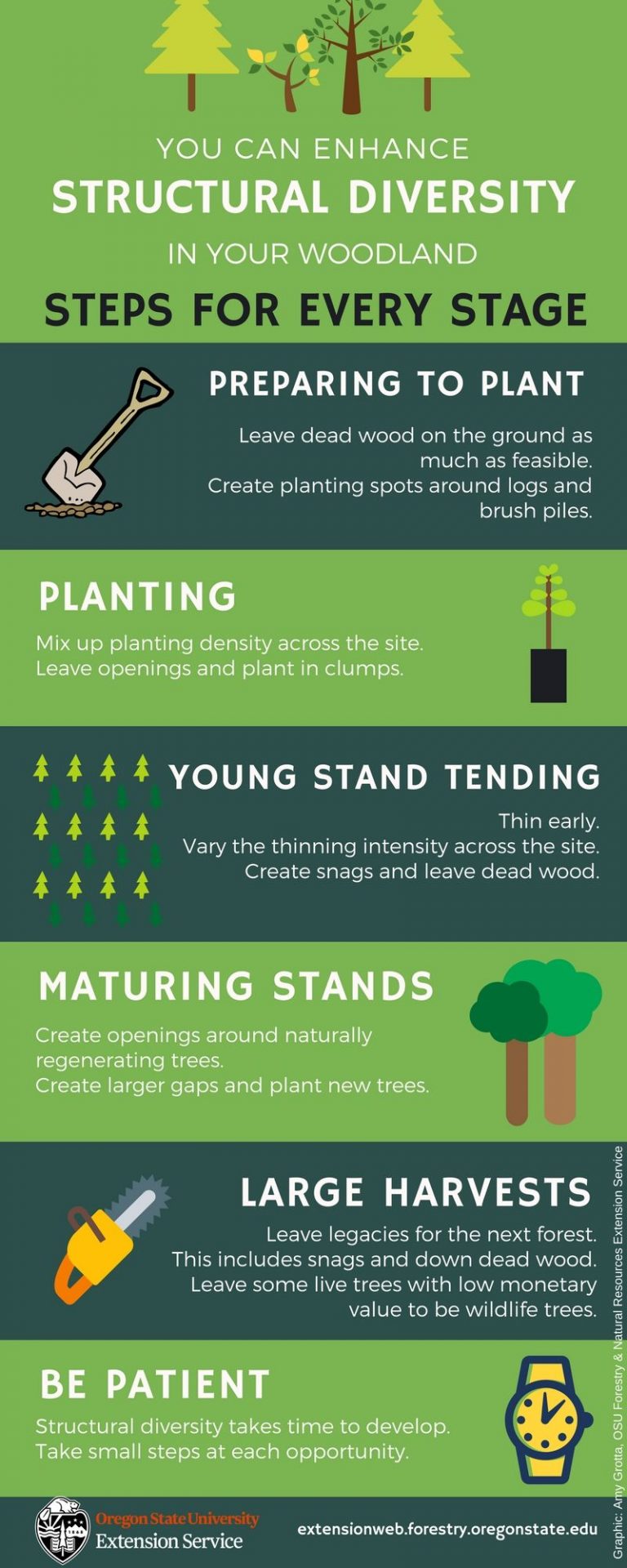 Growing a Diverse Forest: Steps to a Structural Diversity “Forest ...