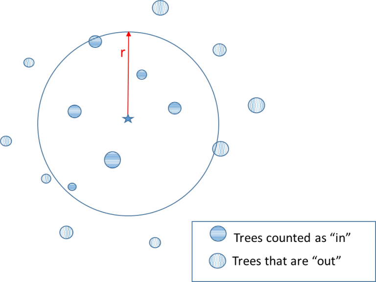 Measuring plots in the woods « TreeTopics